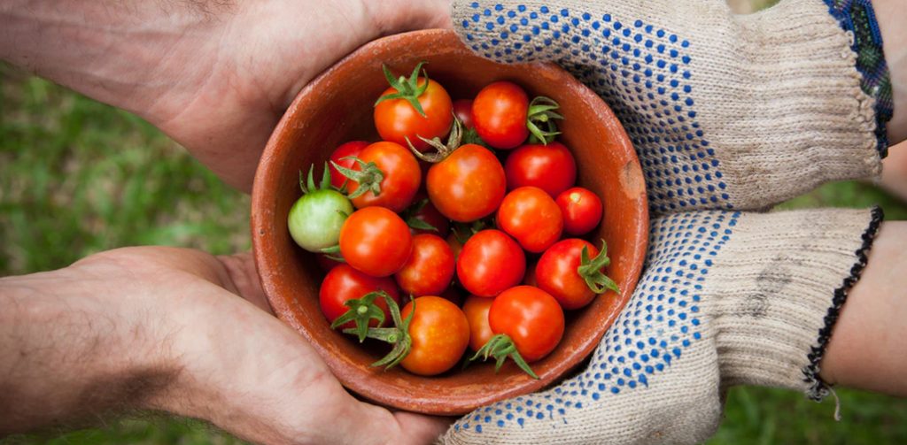 Pourquoi Consommer Local ? Avantages et Inconvénients